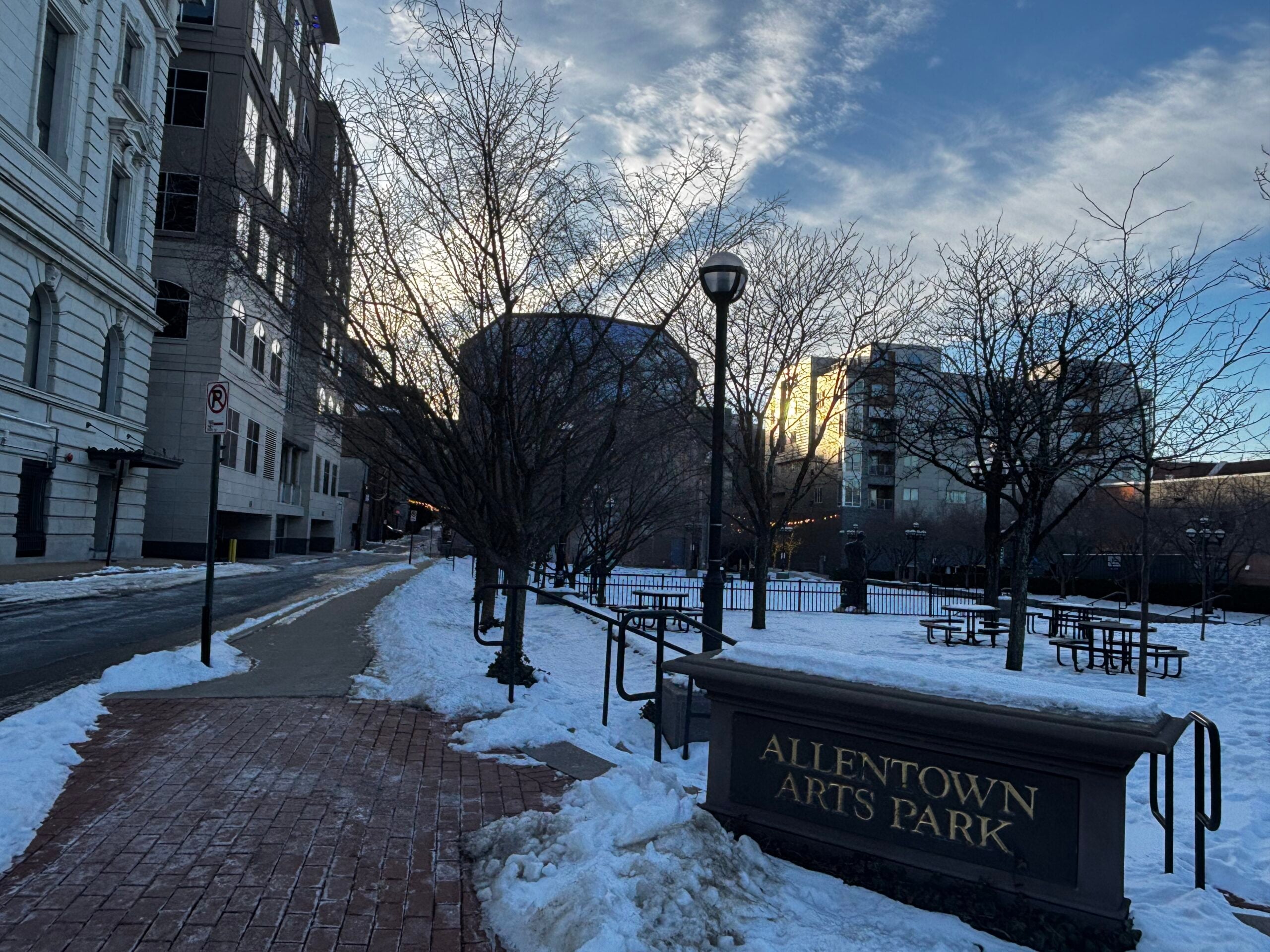 Allentown to hold community meeting on Urban Forestry Master Plan